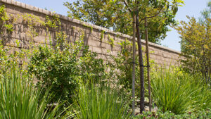Proto-II™ Wall Systems - Angelus Block